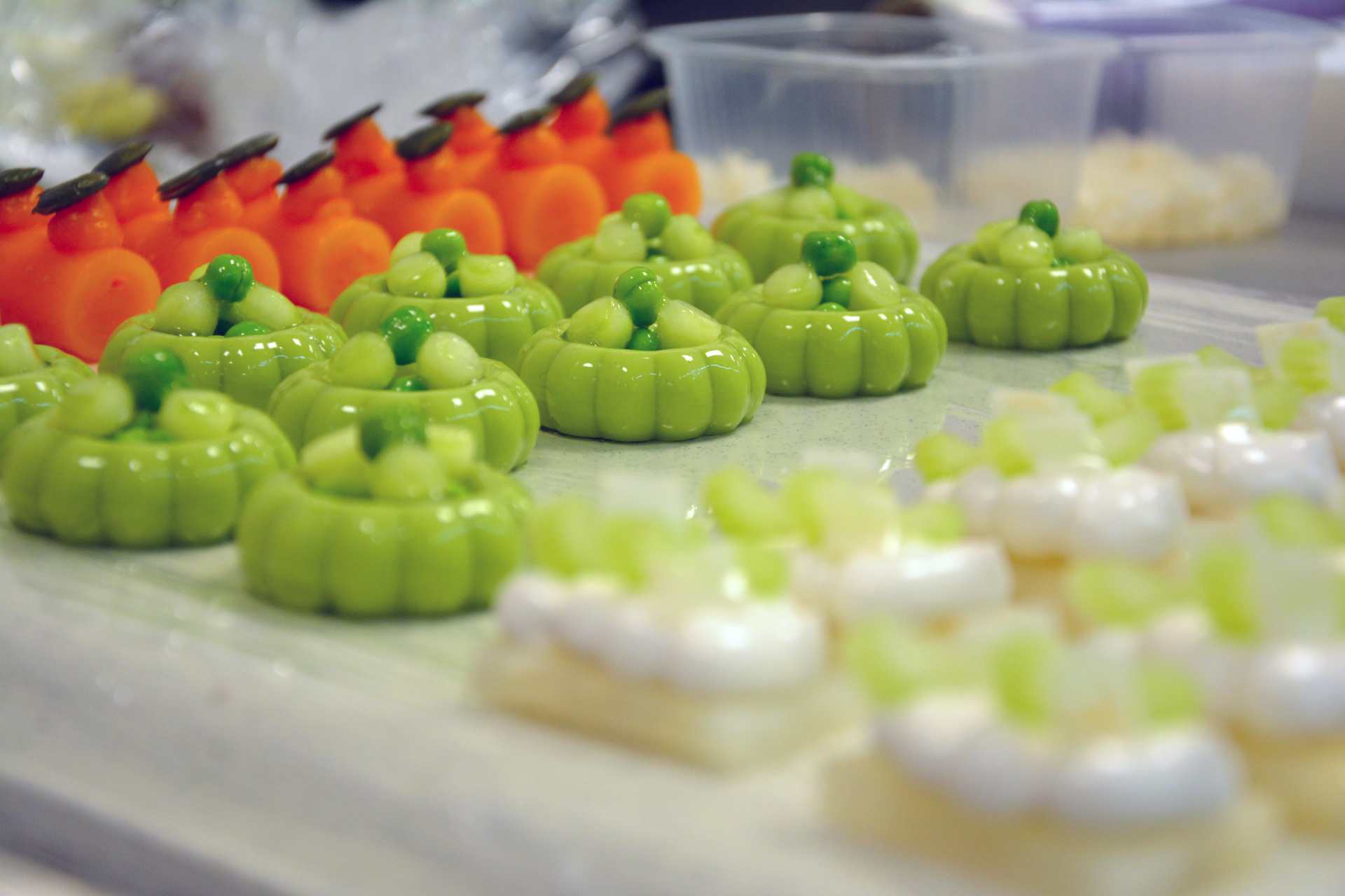 IKA CULINARY OLYMPICS 2024 - Radek David