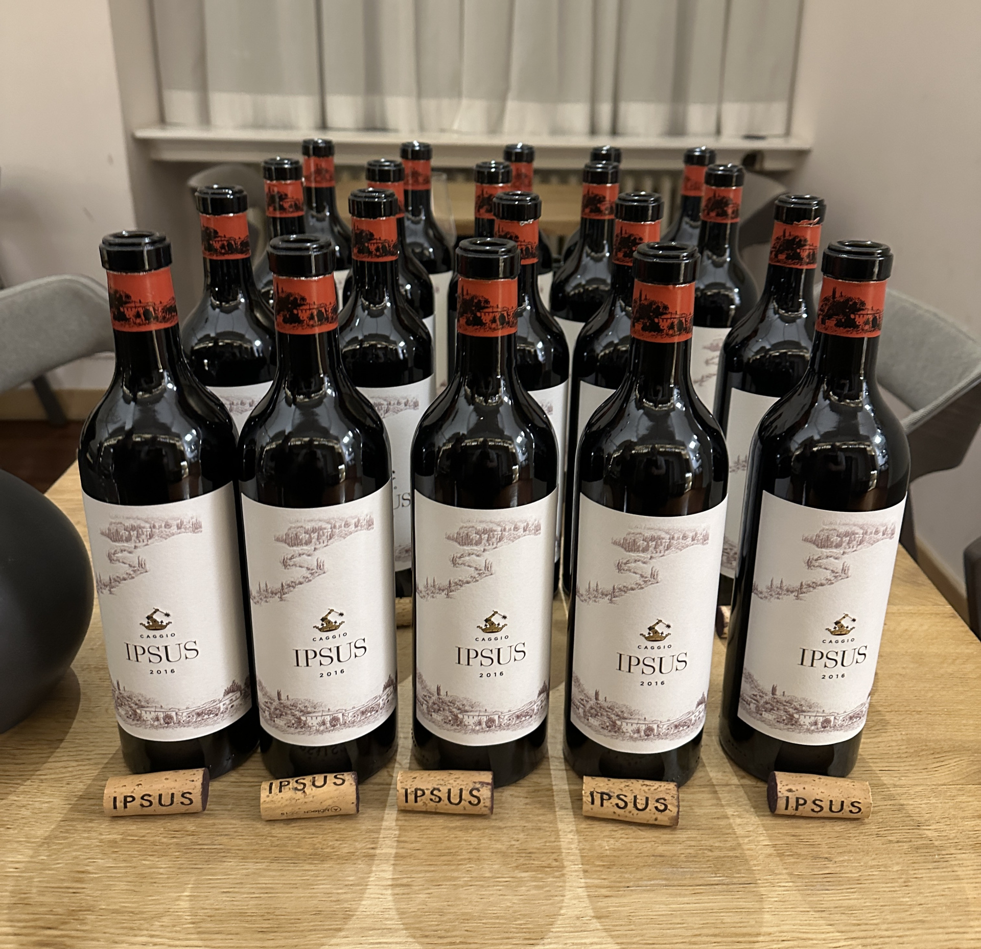 VINAŘSTVÍ IPSUS - Radek David